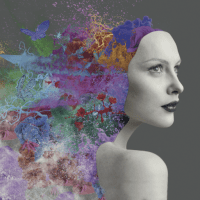 Materials – Cognition and Intractability